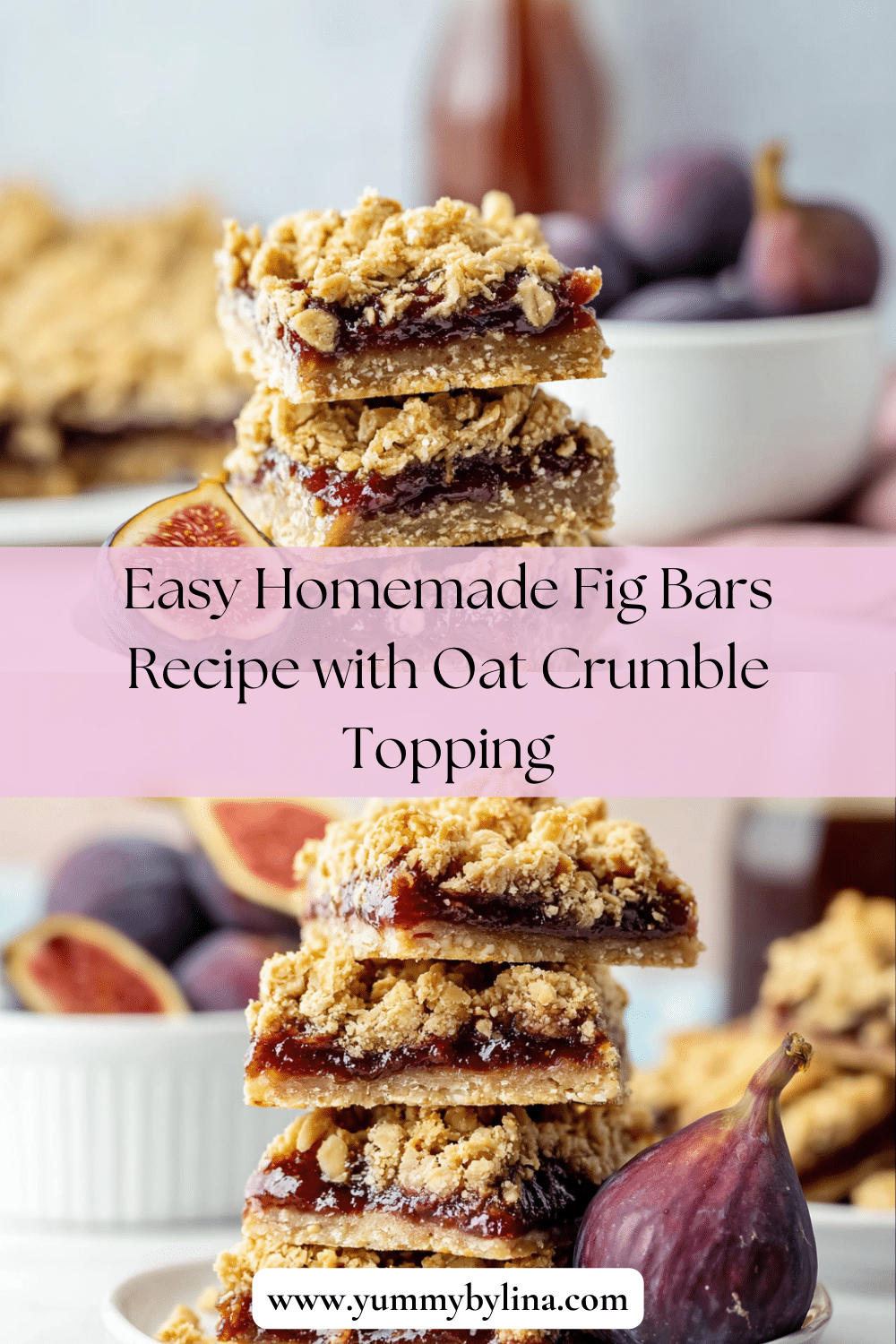 Homemade Fig Bars: Irresistibly Chewy & Sweet Treats